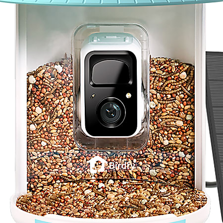 Birdfy Smart Bird Feeder with Camera Solar Powered AI Subscription 6000 ...