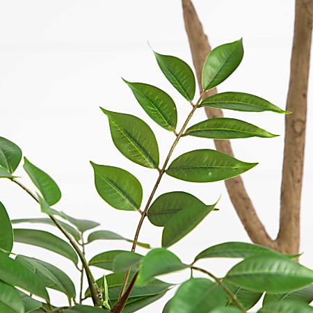 Nearly Natural 5 Artificial Pieris Tree 60 H x 26 W x 26 D BlackGreen ...