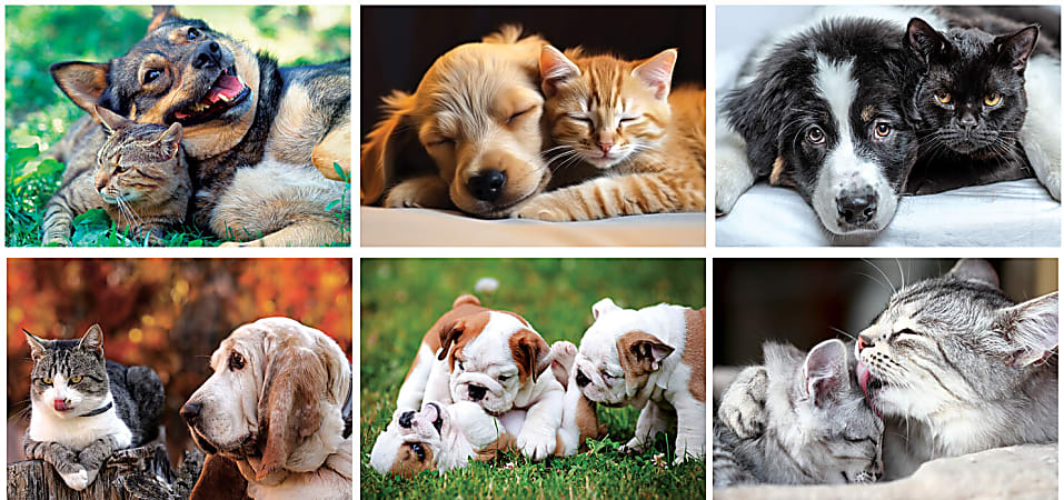 Furry Friends Desk Calendar - Office Depot