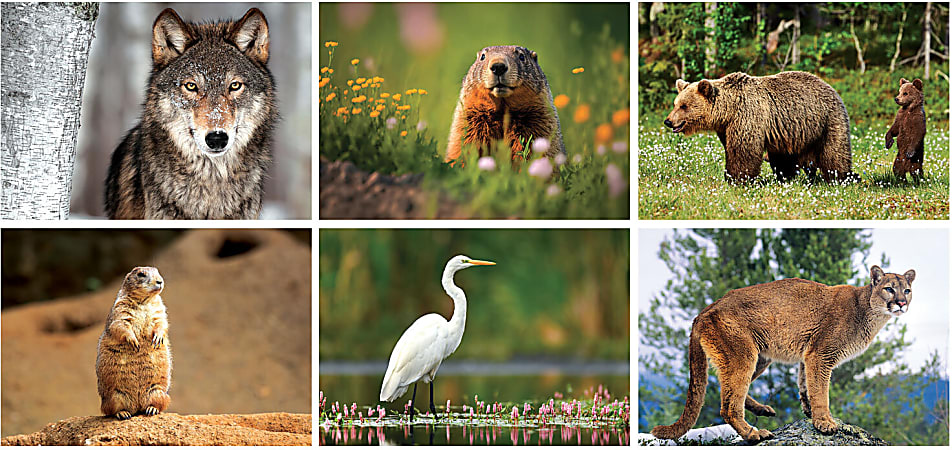 North American Wildlife Desk Calendar - Office Depot