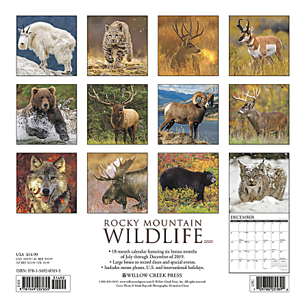 Willow Creek Press Animals Monthly Wall Calendar 12 x 12 Rocky Mountain ...