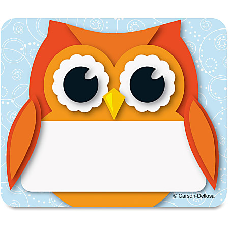 Carson Dellosa Education Colorful Owl Name Tags Learning ThemeSubject ...