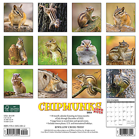 2024 Willow Creek Press Animals Monthly Wall Calendar 12 x 12 Chipmunks ...