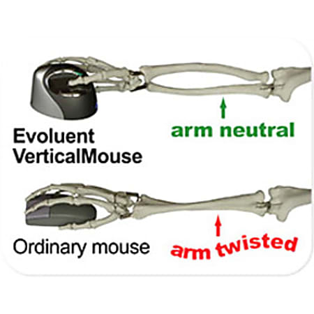 Evoluent vertical mouse store