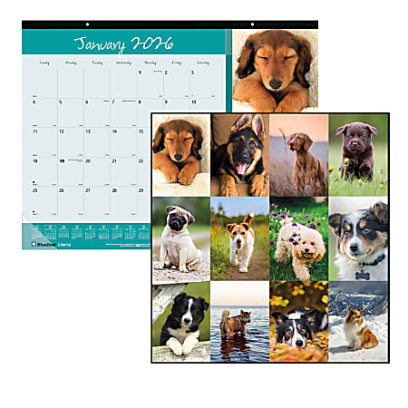 2026 Blueline Colorful Monthly Desk Pad Calendar 22 x 17 Best Friends ...