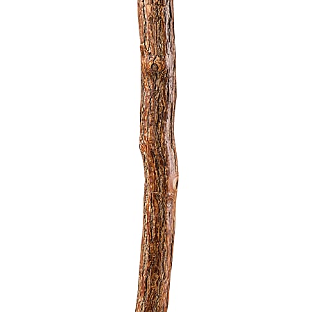 Brazos Walking Sticks Free Form Sassafras Walking Stick 55 - Office Depot