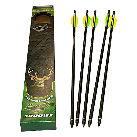 Barnett 22" Headhunter Arrows by Barnett Arrows-w/Field Pt/Moon Nock