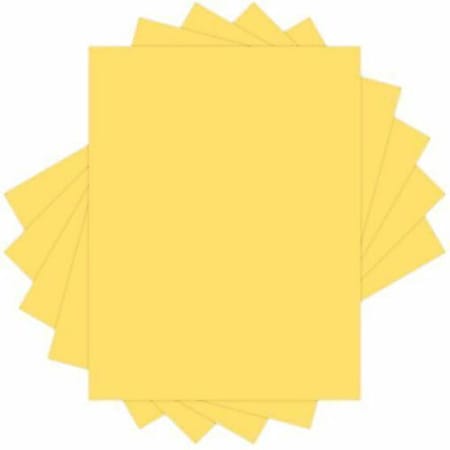 Xerox Vitality Colors Pastel Multi Use Printer Copy Paper 10 Reams ...