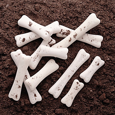 Yellow Door Dinosaur Bones 12 Piece Discovery Set White Pre K - Office ...