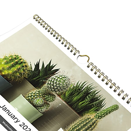 2025 Blueline Colorful Monthly Wall Calendar, 12" x 17", Succulent ...