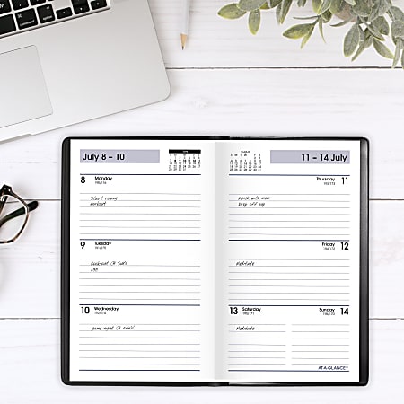 2024-2025 AT-A-GLANCE® DayMinder® Weekly Academic Planner, 3-1/2" x 6 ...