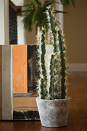 Nearly Natural Cactus 27 12 H Plastic Plant Decorative Garden With ...