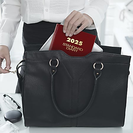 2025 AT A GLANCE Daily Reminder Standard Diary 5 34 x 8 14 Red ...
