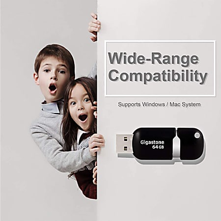 Dane Elec Gigastone USB 2.0 Flash Drives 64GB BlackSilver Pack Of 2 ...