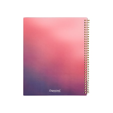 Organized by Happy Planner 12 Month MonthlyWeekly Big Twin Loop Planner ...