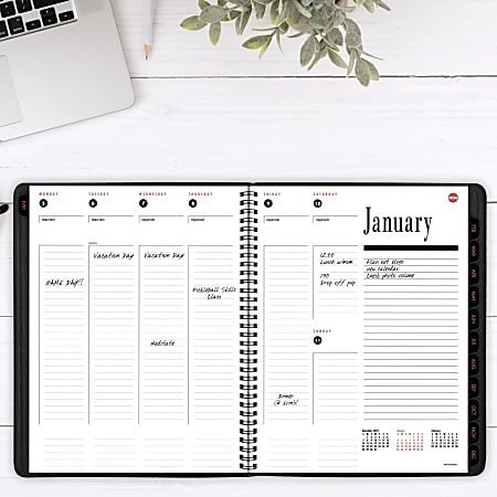 AT A GLANCE 800 Range 2026 Weekly Monthly Appointment Book Planner ...