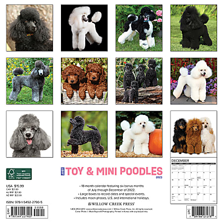 Willow Creek Press Animals Monthly Wall Calendar 12 x 12 Toy Mini ...