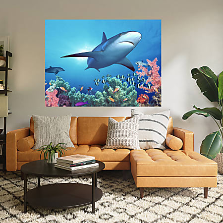 shark wall mural