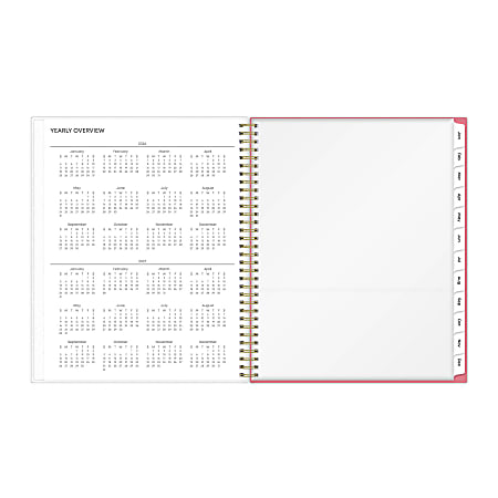 2026 Blue Sky WeeklyMonthly Planner 8 12 x 11 Fly By Frosted January To ...