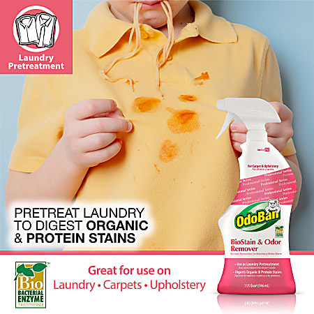 OdoBan Professional Ready to Use BioStain and Odor Remover 32 Oz Set Of ...