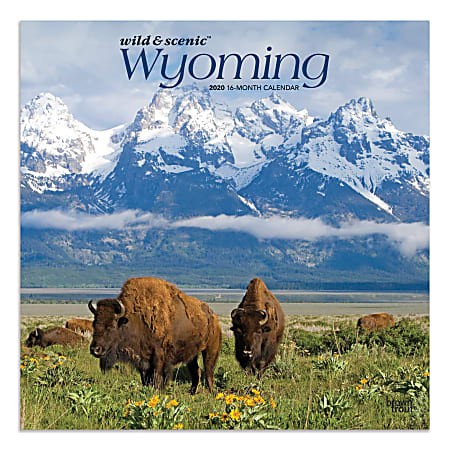 Brown Trout Monthly Wall Calendar Wyoming 24 x 12 January To December ...