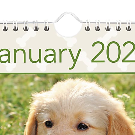 AT A GLANCE 2026 Puppies Monthly Wall Calendar Large 15 12 x 22 34 ...