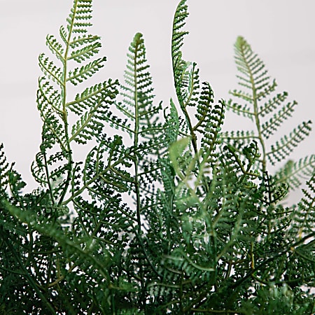 Nearly Natural 17 H Artificial Forest Fern Arrangement With Glass Vase ...
