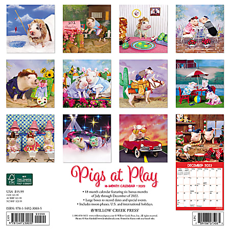 Willow Creek Press Animals Monthly Wall Calendar 12 x 12 Pigs At Play ...