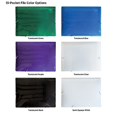 Custom 1 Color Accordion Style 13 Pocket Expandable Poly Document File ...