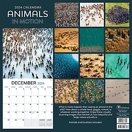 2024 TF Publishing Animal Monthly Wall Calendar 12 x 12 Animals In ...