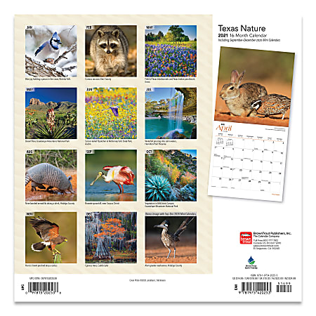 Brown Trout Regional Monthly Wall Calendar 12 x 12 Texas Nature January ...