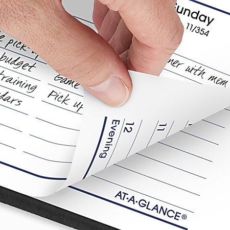 AT A GLANCE DayMinder 2026 Weekly Appointment Book Planner Black Small ...