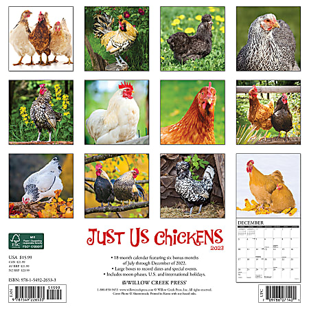 Willow Creek Press Animals Monthly Wall Calendar 12 x 12 Just Us ...