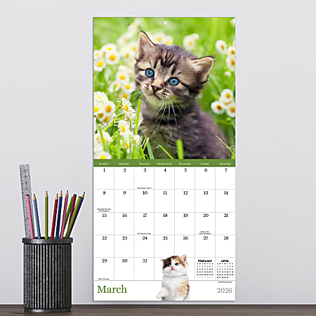 2026 TF Publishing Animals Mini Monthly Wall Calendar 7 x 7 Kittens ...