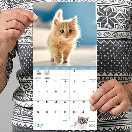 2026 TF Publishing Animals Mini Monthly Wall Calendar 7 x 7 Kittens ...