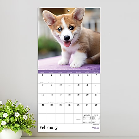 2026 TF Publishing Animals Mini Monthly Wall Calendar 7 x 7 Puppies ...