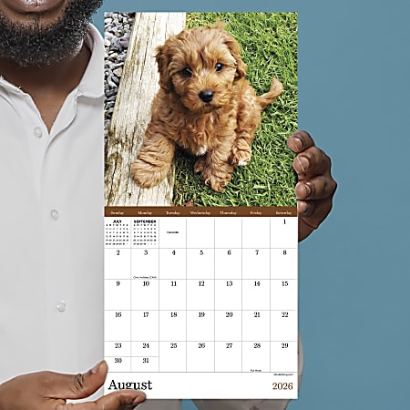 2026 TF Publishing Animals Mini Monthly Wall Calendar 7 x 7 Puppies ...