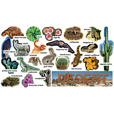 Scholastic Desert Plants Animals Mini Bulletin Board - Office Depot