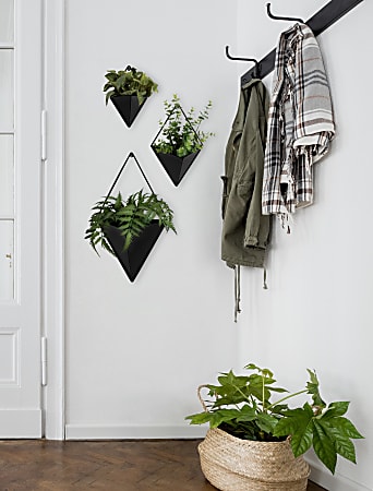 Kate and Laurel Tulla Geometric Wall Plant Display Set of 3 - Office Depot