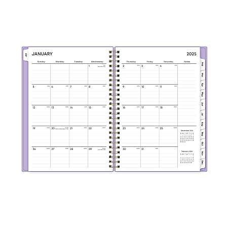 Blue Sky 2025 Day Designer WeeklyMonthly Planning Calendar 5 78 x 8 58 ...