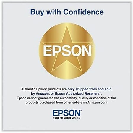 Epson UltraChrome PRO 770 Original Inkjet Ink Cartridge Violet Pack ...