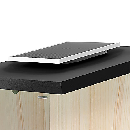 Birdfy Smart Bird Feeder Nest in Ebony Watch a Vivid Live Stream of ...