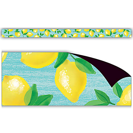 Teacher Created Resources Magnetic Border Lemon Zest 24 Per Pack Set Of ...