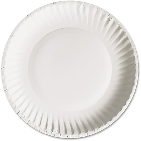 paper plate description