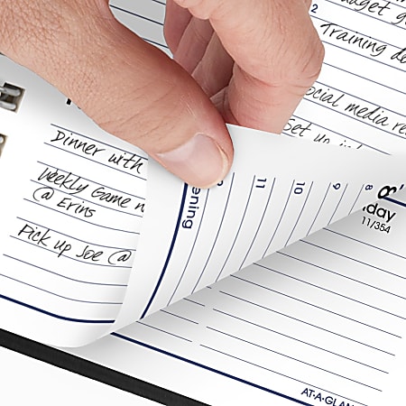 AT A GLANCE DayMinder 2026 Weekly Appointment Book Planner Black Pocket ...