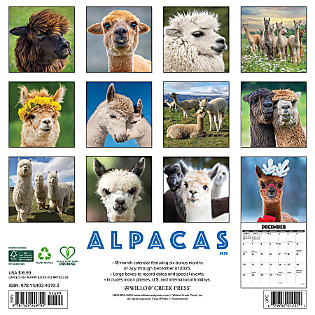 2026 Willow Creek Press Art Design Monthly Wall Calendar 12 x 12 ...