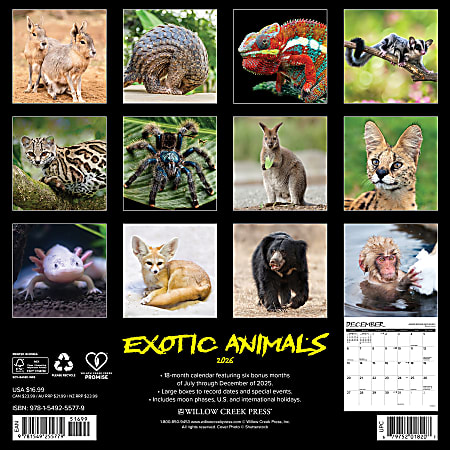 2026 Willow Creek Press Animals Monthly Wall Calendar 12 x 12 Exotic ...