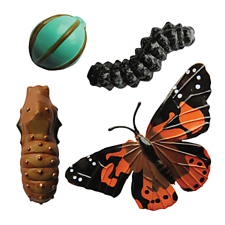 Insect Lore Butterfly Life Cycle Stages Pre K Grade 6 - Office Depot