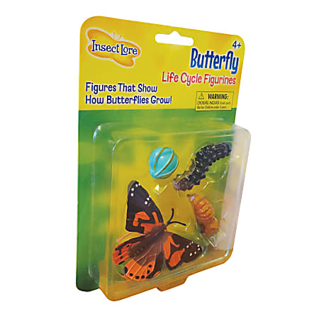 Insect Lore Butterfly Life Cycle Stages Pre K Grade 6 - Office Depot