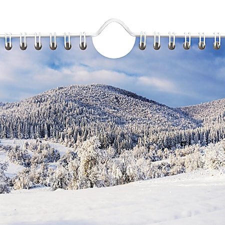 AT A GLANCE 2026 Scenic Three Month Wall Calendar Large 12 x 27 ...